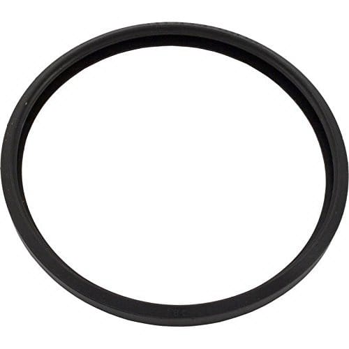 Hayward Plastic Threaded Winter Plug w/ O-Ring for 1-1/2" Fitting, Bla ...